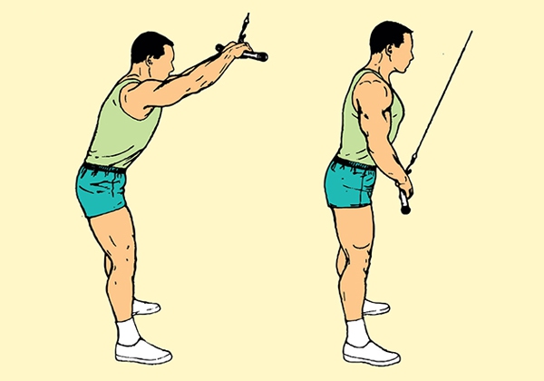 Straight Arm Pulldown là gì? Hướng dẫn cách tập cho Gymer?