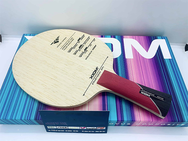 Cốt vợt bóng bàn công thủ toàn diện nào tốt nhất để chơi?