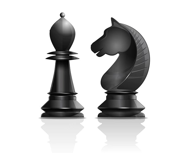 Cờ vua có bao nhiêu quân? Từng quân chơi như thế nào?