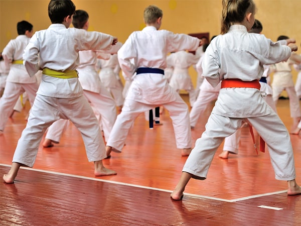 [Giải đáp] Karate có mấy đai? Các cấp bậc đai trong karate