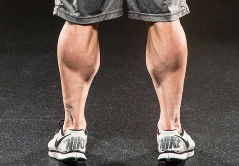 Calves là gì? Bí quyết phát triển bắp chân hiệu quả cho Gymer?
