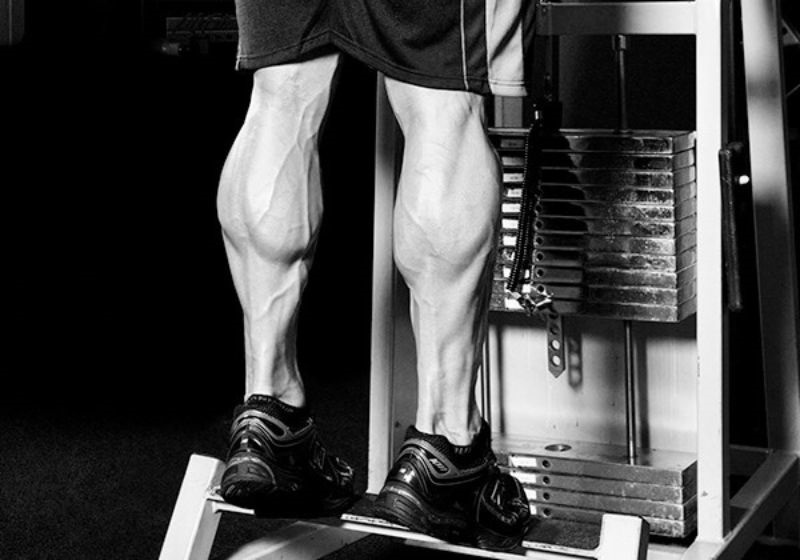 Calves là gì? Bí quyết phát triển bắp chân hiệu quả cho Gymer?