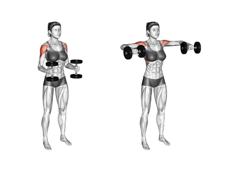 Dumbbell Lateral Raise Là Gì? Cách Tập Vai Hiệu Quả Nhất