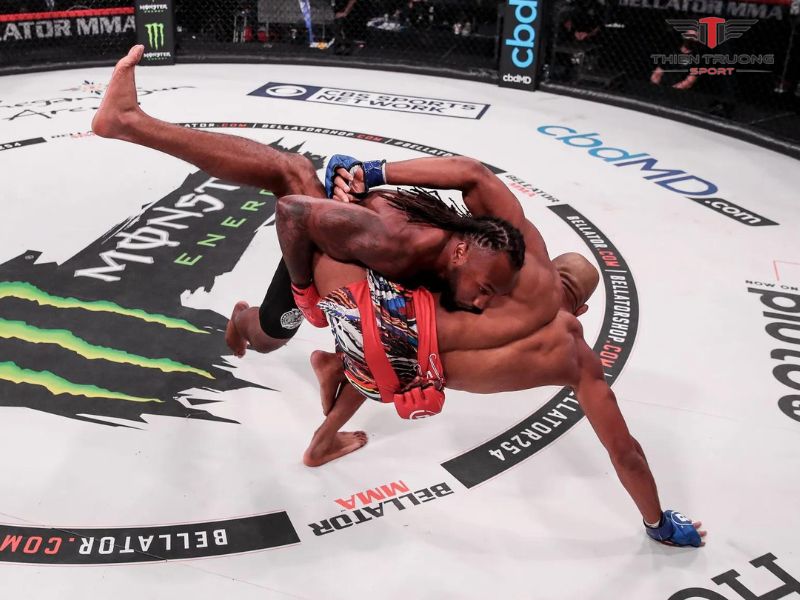 Top 10 giải đấu MMA thế giới danh giá nhất hiện nay