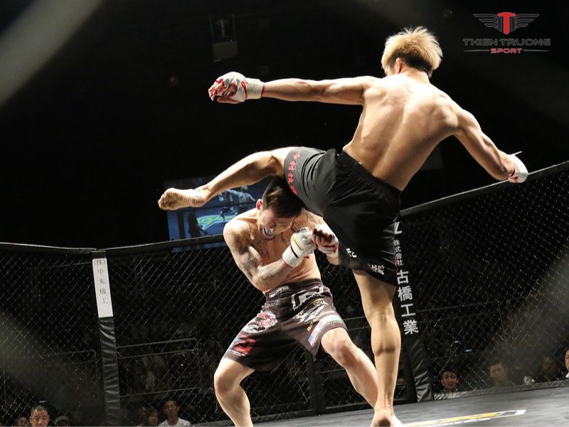 Những kỹ thuật cơ bản MMA cho người mới bắt đầu