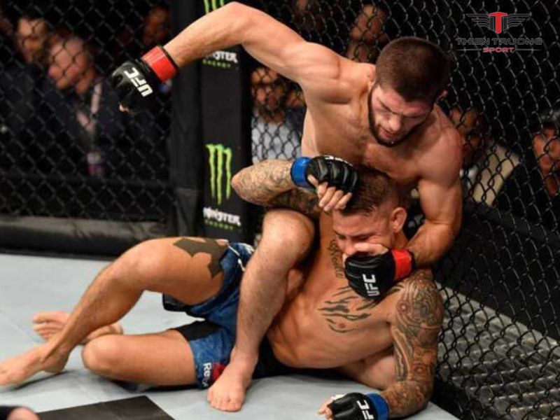 Những kỹ thuật cơ bản MMA cho người mới bắt đầu