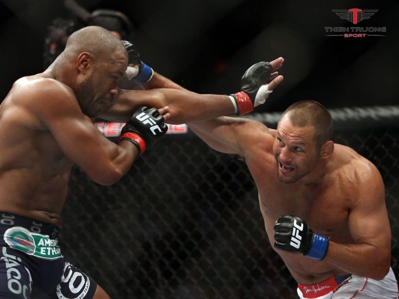 Những kỹ thuật cơ bản MMA cho người mới bắt đầu