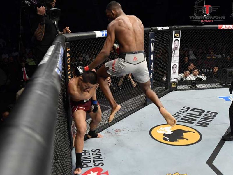 Những kỹ thuật cơ bản MMA cho người mới bắt đầu