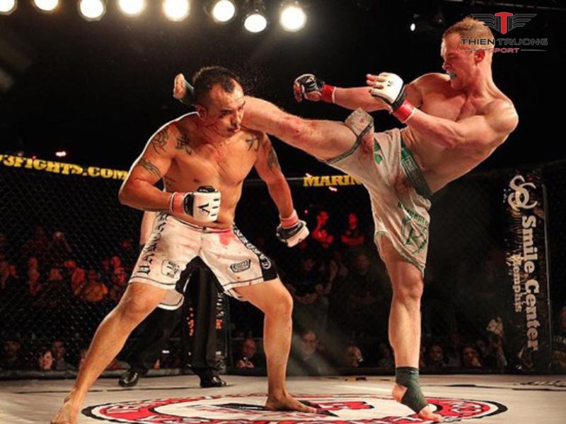 Những kỹ thuật cơ bản MMA cho người mới bắt đầu