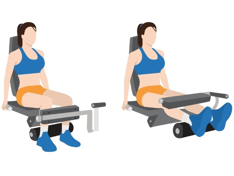Leg Curl là gì? Các bài tập Leg Curl đúng cách, hiệu quả nhất