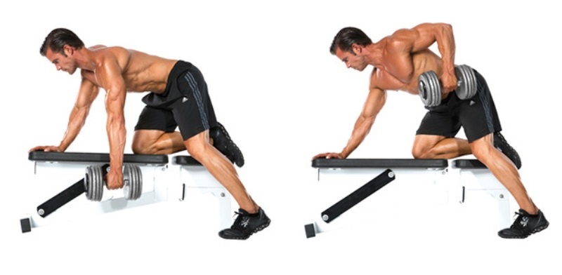 Seated Cable Row là gì? Cách tập phát triển lưng giữa tốt nhất?