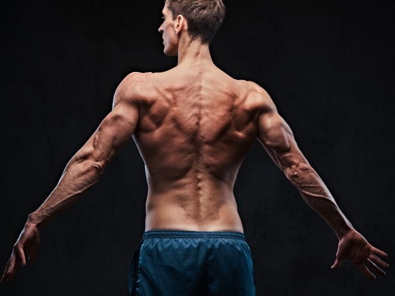 Straight Arm Pulldown là gì? Hướng dẫn cách tập cho Gymer?