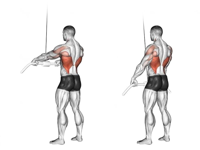 Straight Arm Pulldown là gì? Hướng dẫn cách tập cho Gymer?