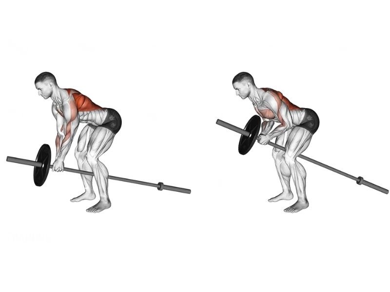 T-Bar Row là gì? Cách tập T-bar Row phát triển lưng xô tốt nhất