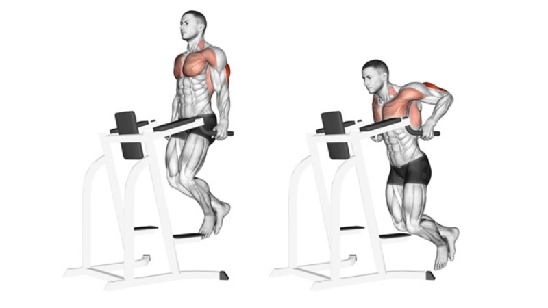 Triceps là gì? Các bài tập Triceps cơ bản và hiệu quả nhất