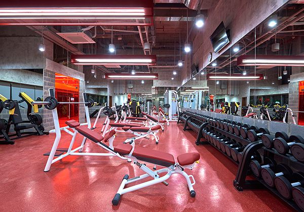 Các phòng tập Gym quận 4 đông người tập và bảng giá rẻ Nhất