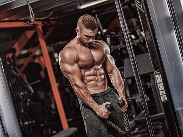 Ryan Terry là ai? Lịch tập Gym & dinh dưỡng của Ryan Terry?