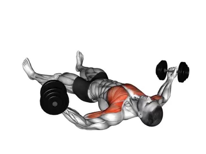 Dumbbell fly là gì? Cách tập giúp phát triển ngực tốt cho Gymer