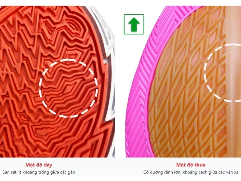 Giày bóng rổ outdoor là gì? Bật mí cách chọn phù hợp nhất!