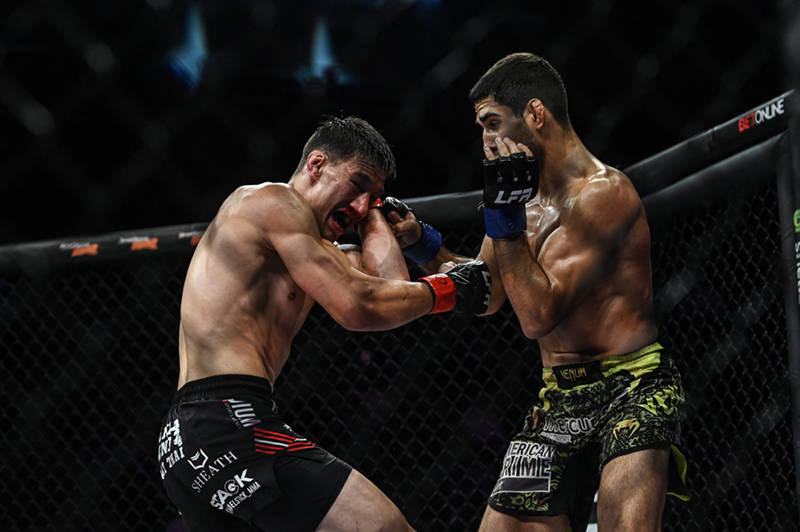 MMA là gì, UFC là gì? Những điều bạn cần biết về võ MMA