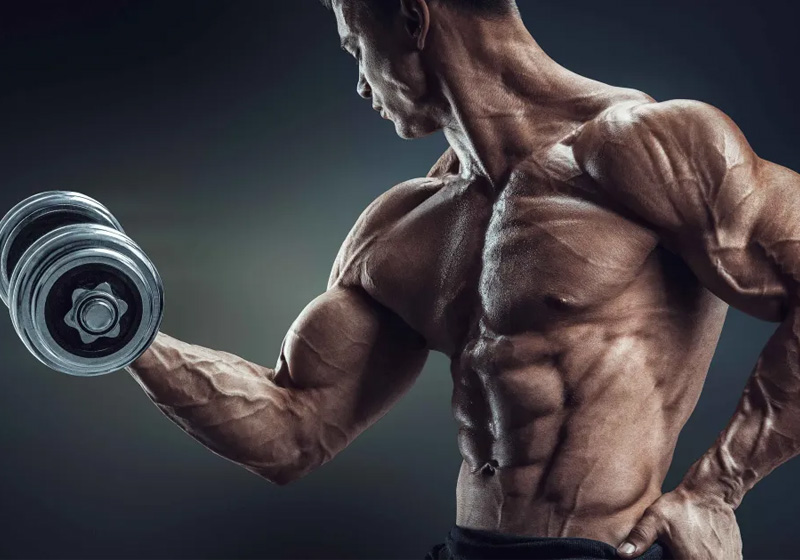 Biceps Curl là gì? Cách tập tăng cơ bắp tay trước nhanh Nhất?