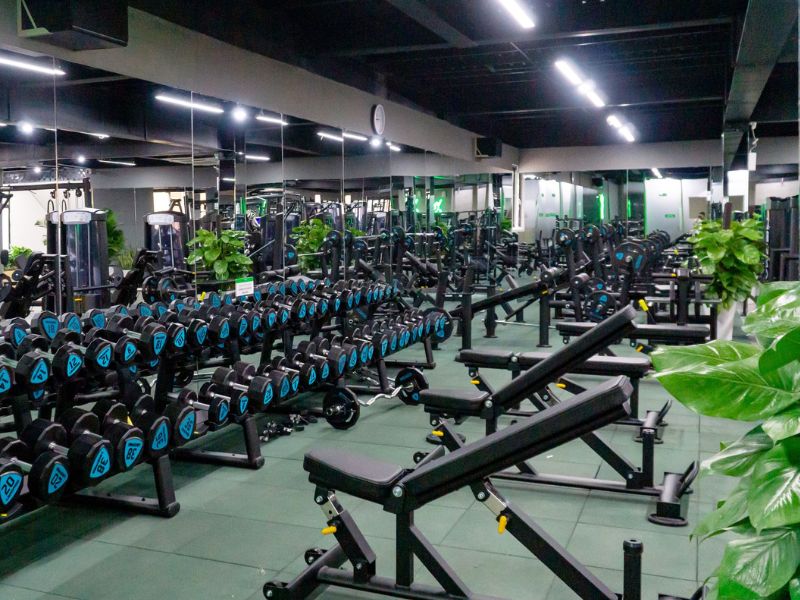 Phòng tập Gym Gò Vấp cập nhật chi tiết và đầy đủ nhất