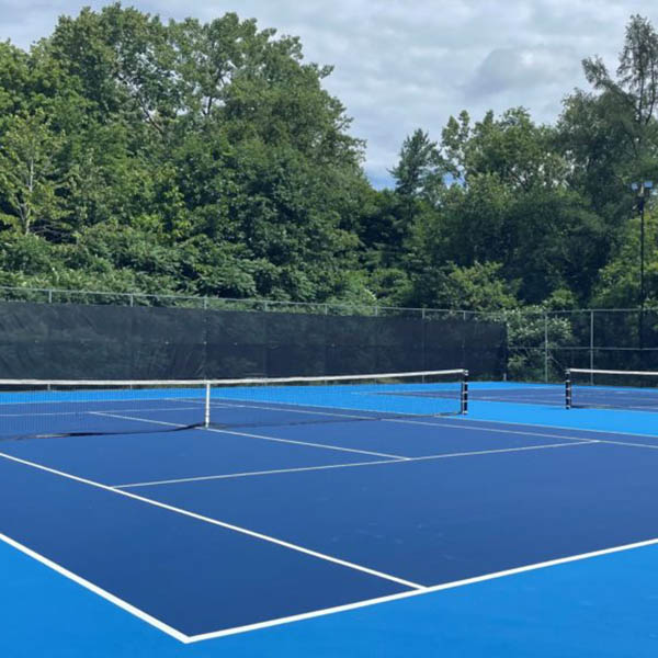 Thảm Pickleball - Thể thao thiên Trường