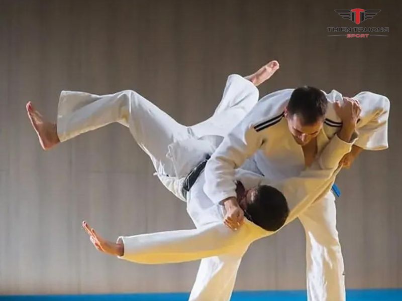 Jujitsu là gì? Tất tần tật về môn võ mạnh nhất thế giới